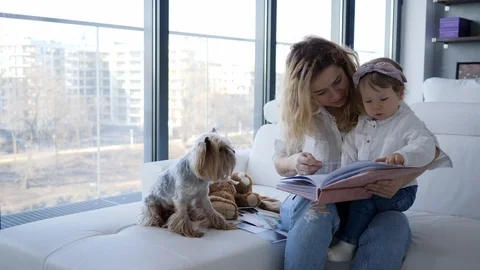 Dog Watching Baby Stock Videos – Royalty-Free HD & 4K Videos | Pond5