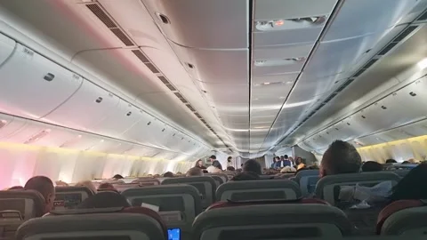 Sher Stock Videos – Royalty-Free HD & 4K Videos | Pond5