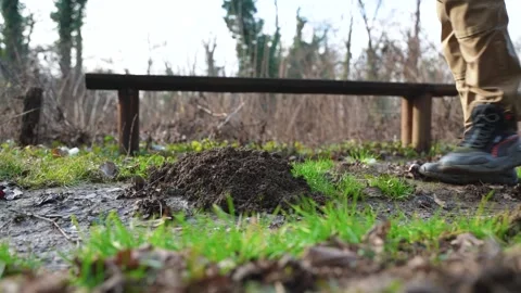 Trample Path Stock Video Footage | Royalty Free Trample Path Videos | Pond5