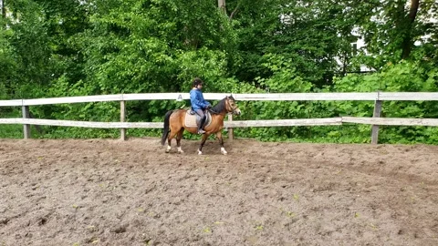 Cool Boy Horse Stock Videos – Royalty-Free HD & 4K Videos | Pond5