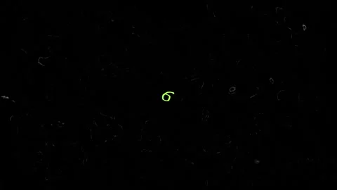 10 Sec Video Stock Videos – Royalty-Free HD & 4K Videos