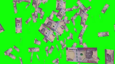 100 NIGERIAN NAIRA notes falling Green s... | Stock Video | Pond5