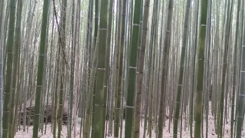 1000 meters above sea level, the most be... | Stock Video | Pond5