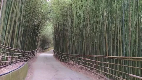 1000 meters above sea level, the most be... | Stock Video | Pond5