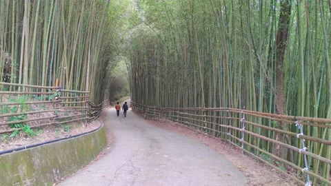 1000 meters above sea level, the most be... | Stock Video | Pond5