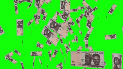 1000 NIGERIAN NAIRA notes falling Green ... | Stock Video | Pond5