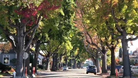 9 11 Hd Stock Videos – Royalty-Free HD & 4K Videos | Pond5