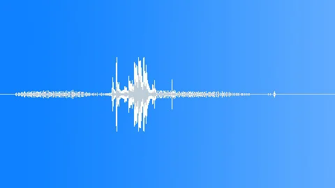 Sound Effect: 12 Gauge Shotgun, Pump Action, Ejecting Shell ~ #164749163