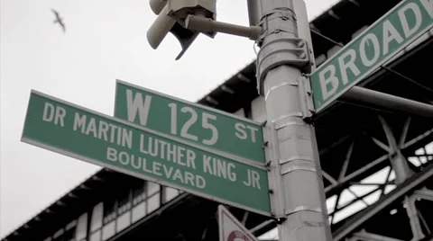 Martin Luther King Blvd Stock Video Footage | Royalty Free Martin ...