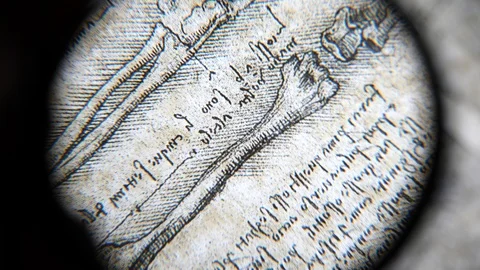 14th century anatomy art by Leonardo D... | Stock Video | Pond5