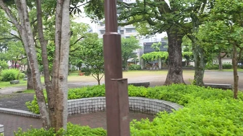 15 June 2024 Tokyo, Japan - Walking Shiz... | Stock Video | Pond5