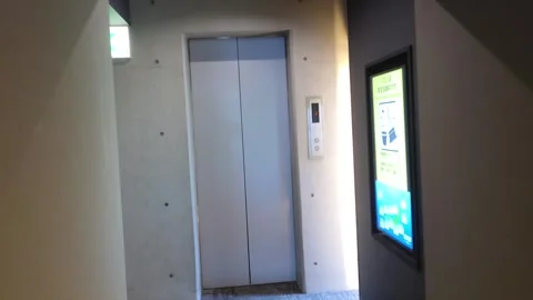 15 June 2024 Tokyo, Japan - Walking Shiz... | Stock Video | Pond5