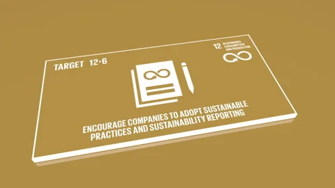 17 Global Goals SDGs Media Card Target 1... | Stock Video | Pond5