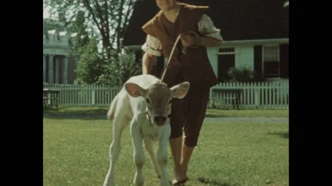1700s: Boy in colonial costume with calf... | Stock Video | Pond5