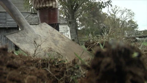 1800s Gold Miners digging in the dirt wi... | Stock Video | Pond5