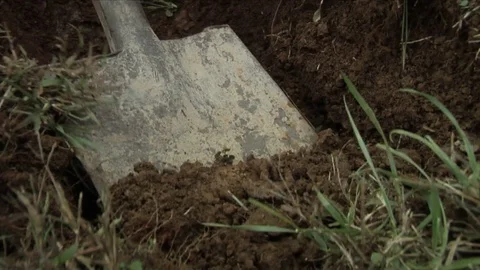 1800s Gold Miners digging in the dirt wi... | Stock Video | Pond5