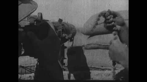 The The British Stock Videos – Royalty-Free HD & 4K Videos | Pond5