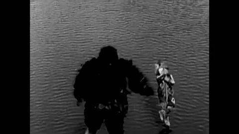 Silent Crow Stock Video Footage | Royalty Free Silent Crow Videos | Pond5