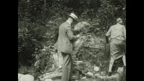 Tree Stump People Stock Videos – Royalty-Free HD & 4K Videos