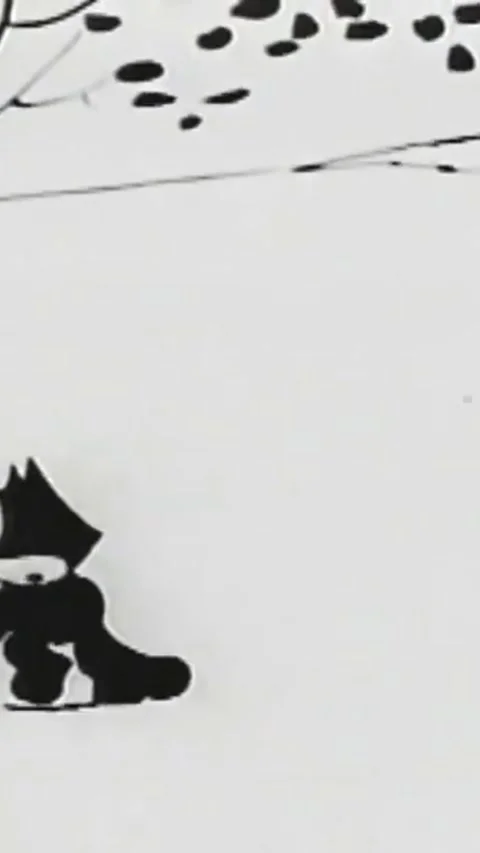 Skis Animated Stock Videos – Royalty-Free HD & 4K Videos | Pond5