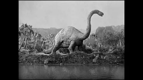 Brontosaurus Stock Video Footage | Royalty Free Brontosaurus Videos | Pond5