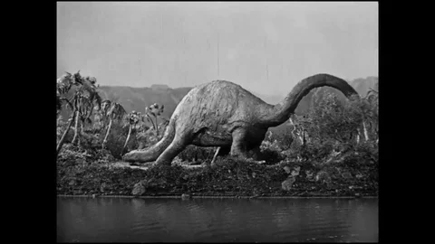 Brontosaurus Stock Video Footage | Royalty Free Brontosaurus Videos | Pond5