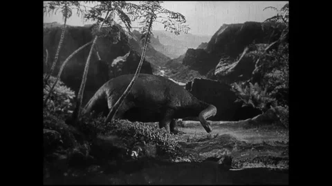 Brontosaurus Stock Video Footage | Royalty Free Brontosaurus Videos | Pond5