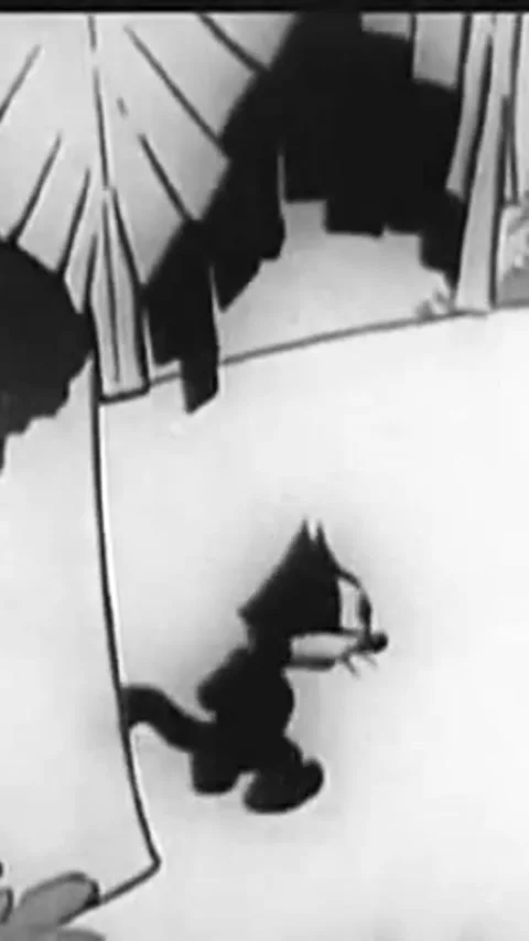 Snake In Film Stock Videos – Royalty-Free HD & 4K Videos | Pond5