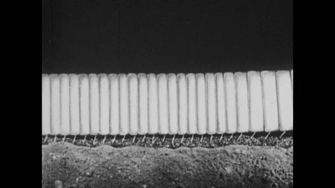 1930s: Animation of how worm moves acros... | Stock Video | Pond5