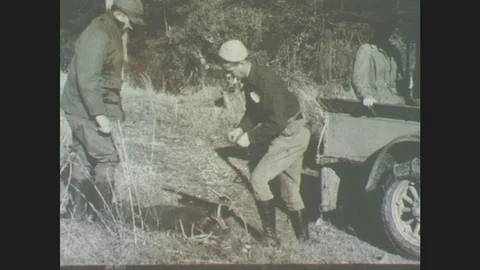 Dead Load Stock Videos – Royalty-Free HD & 4K Videos