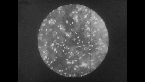 1930s: Organisms under a microscope. A f... | Stock Video | Pond5