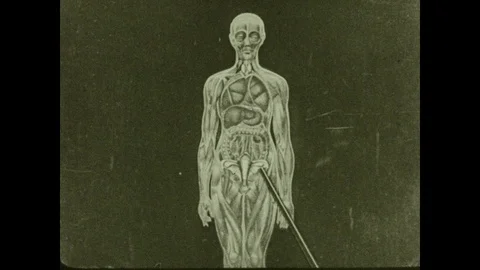 Pointer L Stock Videos – Royalty-Free HD & 4K Videos