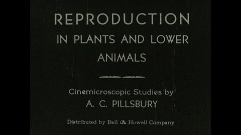 1930s: Title card. Intertitle card. Plan... | Stock Video | Pond5