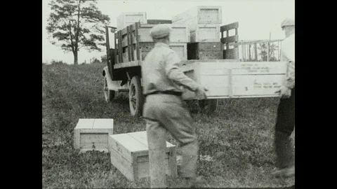Men Load Crates Stock Video Footage | Royalty Free Men Load Crates ...