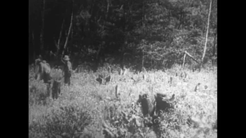 Administration A Stock Videos – Royalty-Free HD & 4K Videos | Pond5