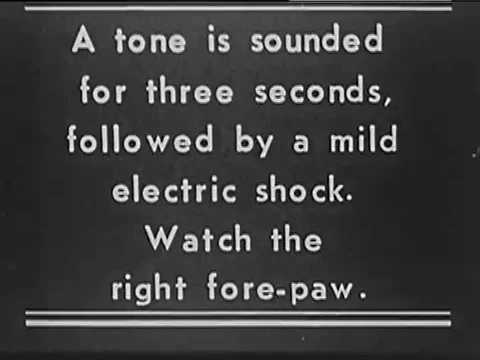 Sounded Shocked Stock Videos – Royalty-Free HD & 4K Videos