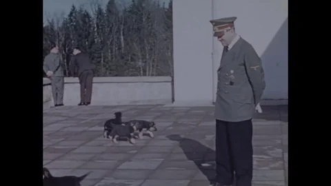1940s - Adolf Hitler playing with dogs, ... | Stock Video | Pond5