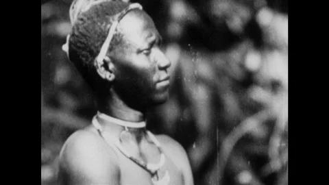 Lion Den Stock Videos – Royalty-Free HD & 4K Videos