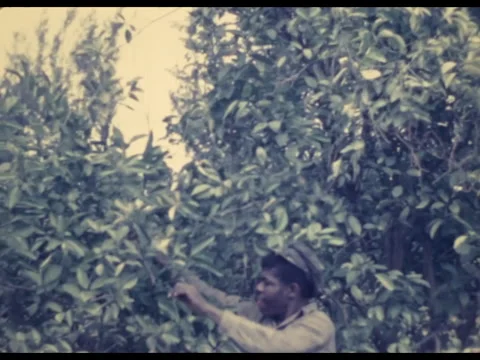 Whitewoman Black Men Stock Videos – Royalty-Free HD & 4K Videos