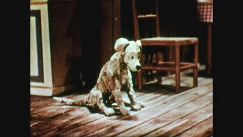 Old Shocked Dog Stock Videos – Royalty-Free HD & 4K Videos