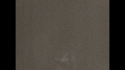 1940s: Bride poses in front of white scr... | Stock Video | Pond5