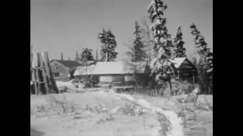 Dug Duggo Stock Videos – Royalty-Free HD & 4K Videos