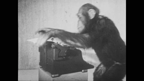 1940s: chimp plays with paper in typewri... | Stock Video | Pond5
