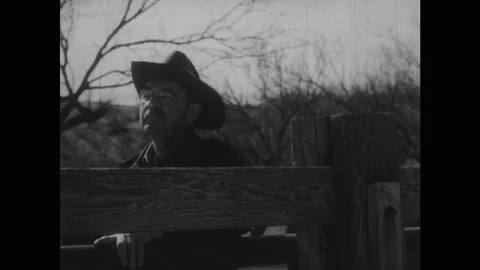 Fence Boys Stock Videos – Royalty-Free HD & 4K Videos | Page 3