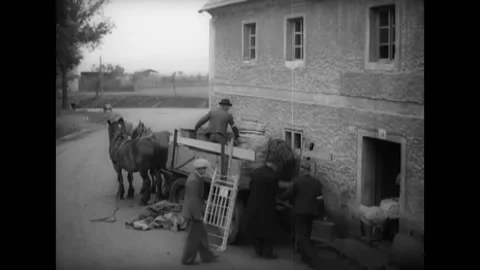 Neighbors The Move Stock Videos – Royalty-Free HD & 4K Videos