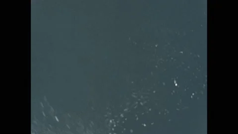 Motes Stock Footage ~ Royalty Free Stock Videos | Pond5