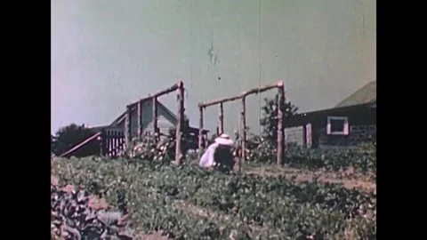 Mom Club Show Stock Videos – Royalty-Free HD & 4K Videos | Pond5