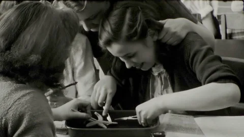 Science Girl Student Stock Videos – Royalty-Free HD & 4K Videos | Pond5