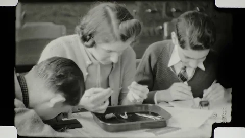 Vintage Science Class Stock Videos – Royalty-Free HD & 4K Videos | Pond5