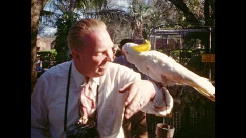 Camera Man John Stock Videos – Royalty-Free HD & 4K Videos